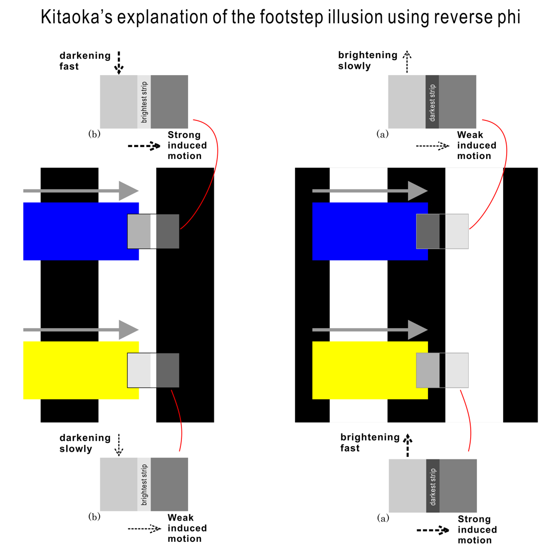 Footstep illusion: Anstis, S. M. (2001). Footsteps and inchworms: Illusionsshow that contrast ...
